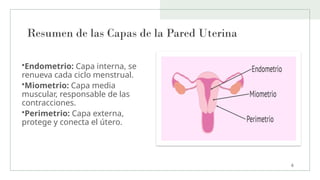 anatomia exposicion del utero ejemp.pptx