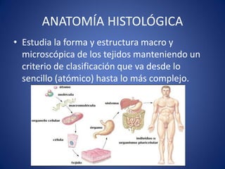 Introducción a conceptos de Anatomía.pdf