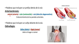 GENERALIDADES DE ANATOMIA, POSICIONES ANATOMICAS | PDF