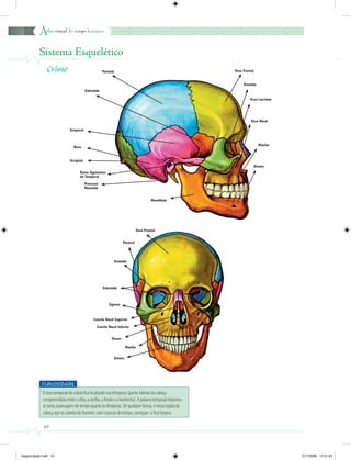 Anatomia - Atlas Visual do Corpo Humano.PDF