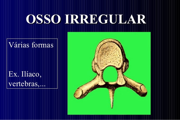 Anatomia aula 03 ( osteologia )