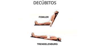 Anatomia - AULA 1 - Introduçãodeanatomia.pptx