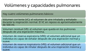 anatomia-pulmón FISIOPATOLOGIA, ETIOLOGÍA Y TRATAMIENTO.pptx