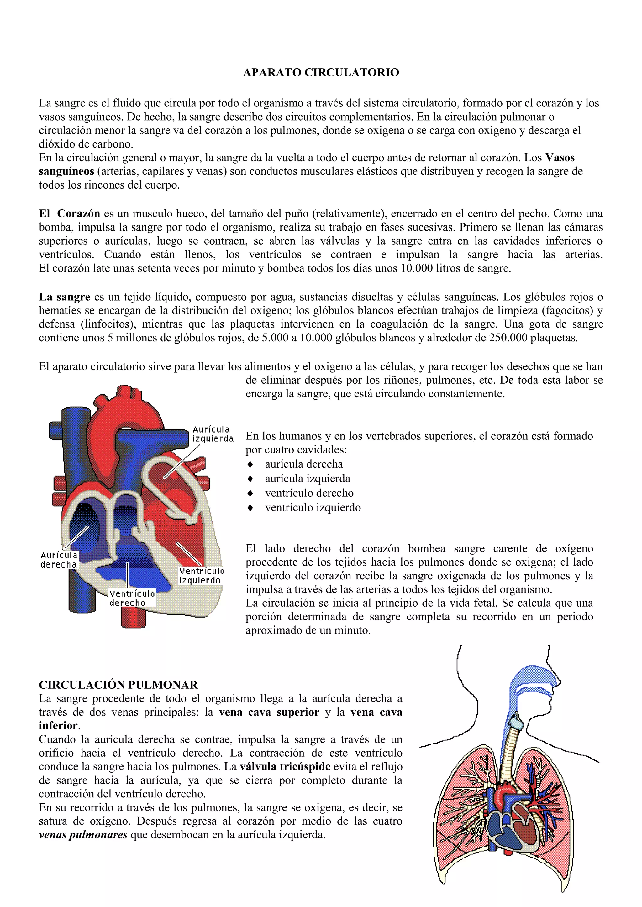 Anatomia comparada-aparato-circulatorio | PDF