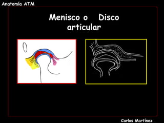 ANATOMIA DE ATM | PPT