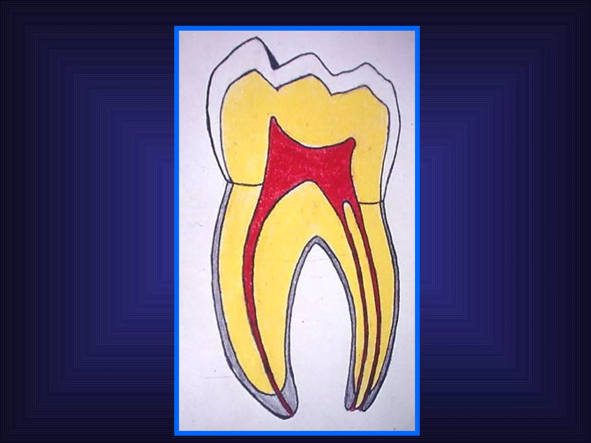 Anatomia De Los Conducto Radiculares F | PPT | Dental Health | Diseases ...