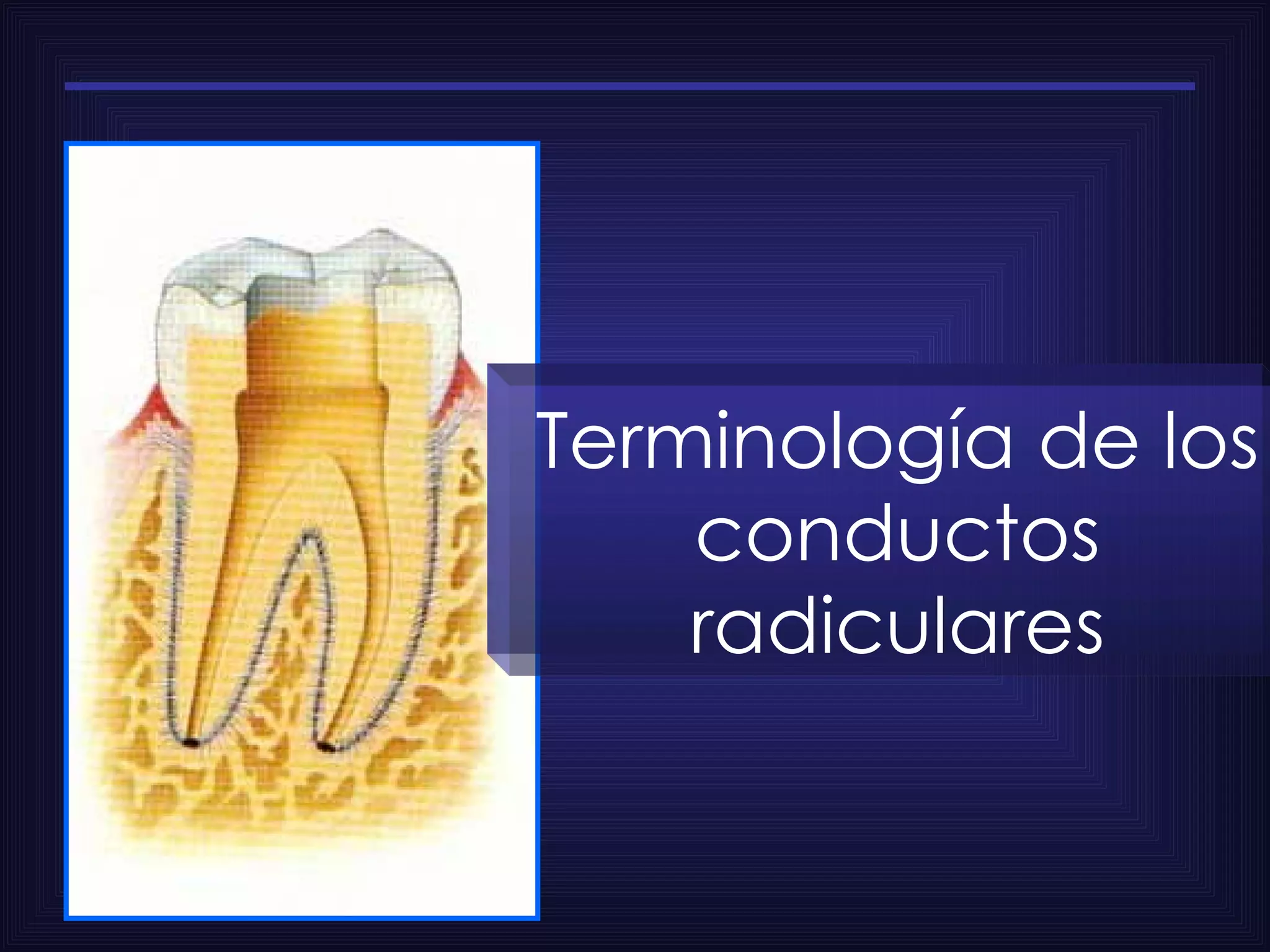 Anatomia De Los Conducto Radiculares F | PPT | Dental Health | Diseases ...