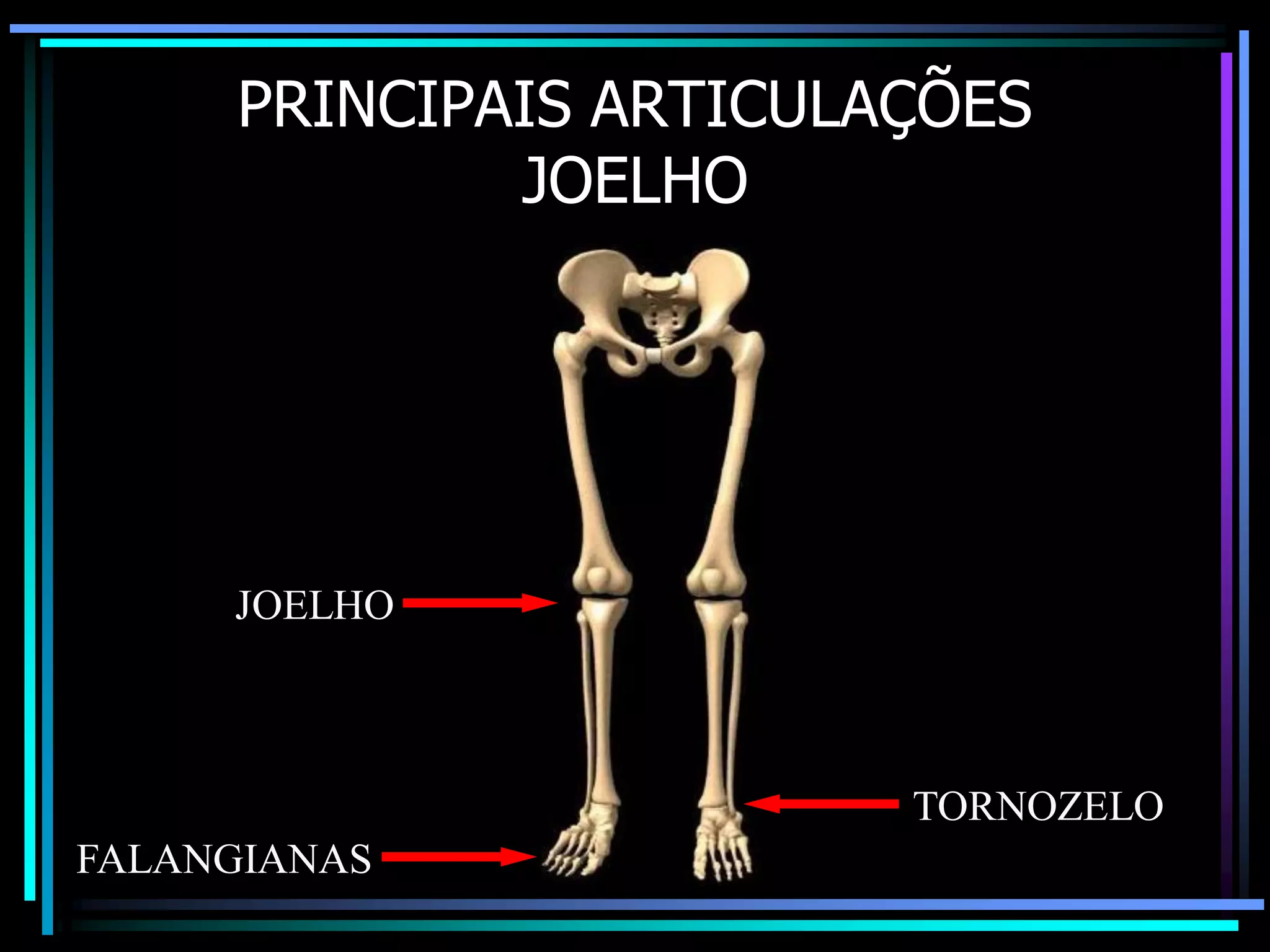 Anatomia de-mmii | PPT