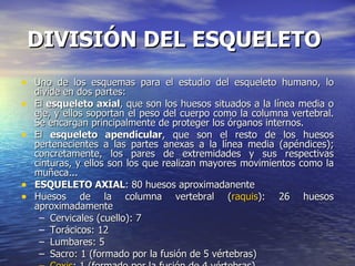 Anatomia Del Cuerpo Humano | PPT
