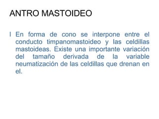 Anatomia Del Hueso Temporal | PPT