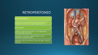 anatomia- peritoneo visceral parietal humano | PPTX