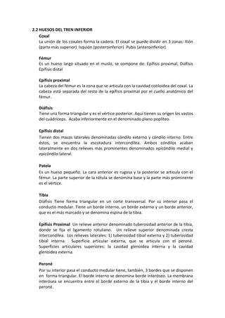 Anatomia fisiologia-humana | PDF