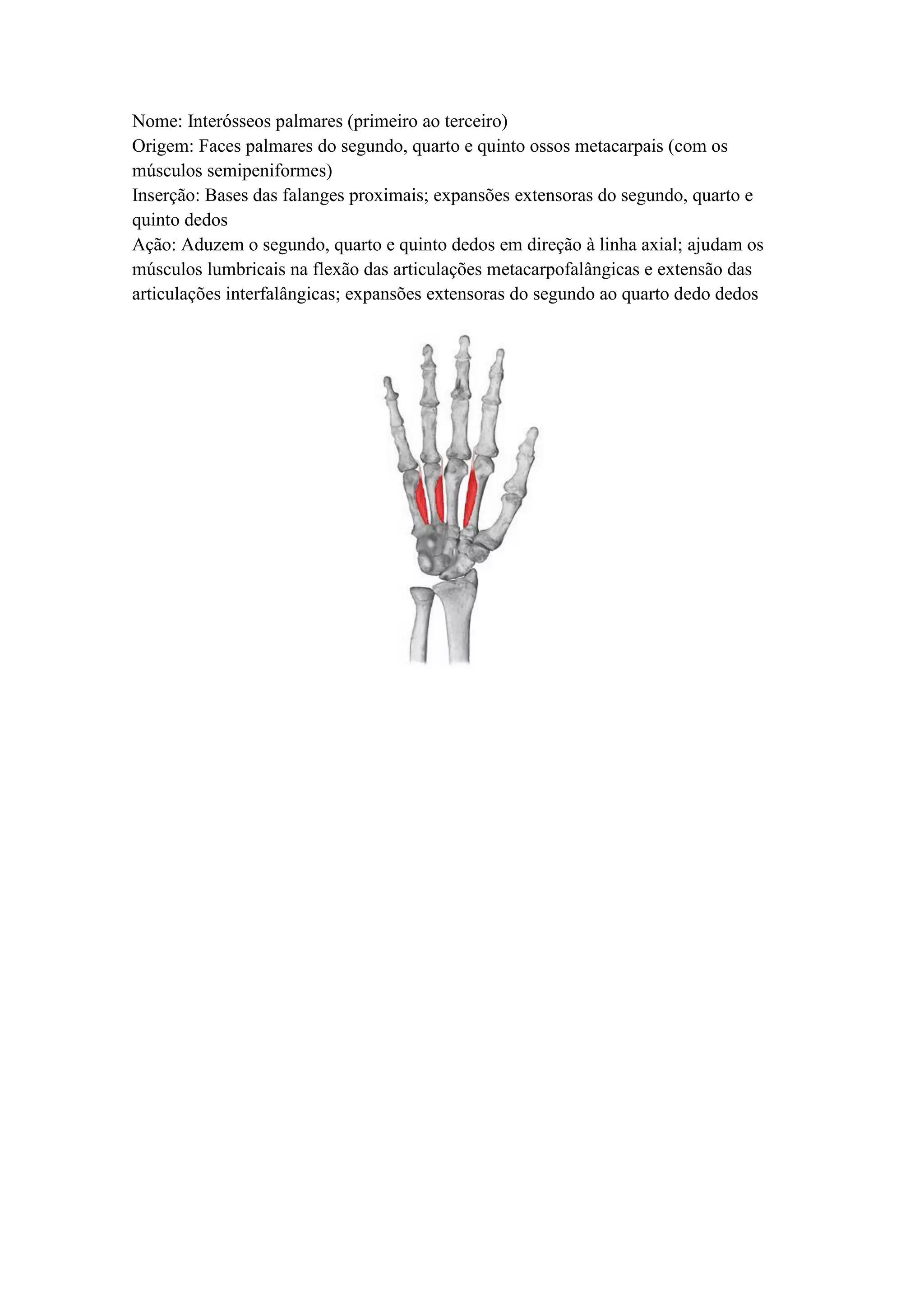 Anatomia (músculos) - flexão e extensão do carpo e dos dedos das maos | PDF