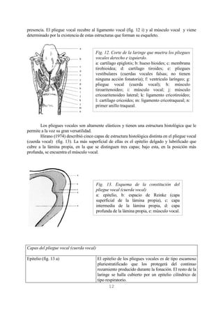anatomia-funcional-voz.pdf