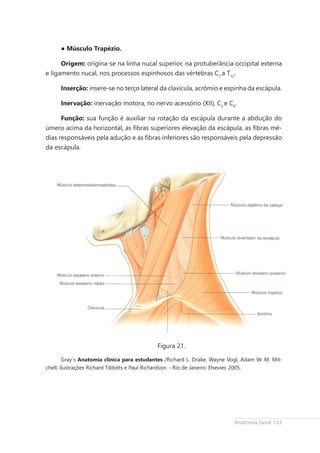 anatomia-geral.pdf . | PDF