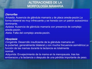 anatomia-glandula-mamas y fisiologia.pptx