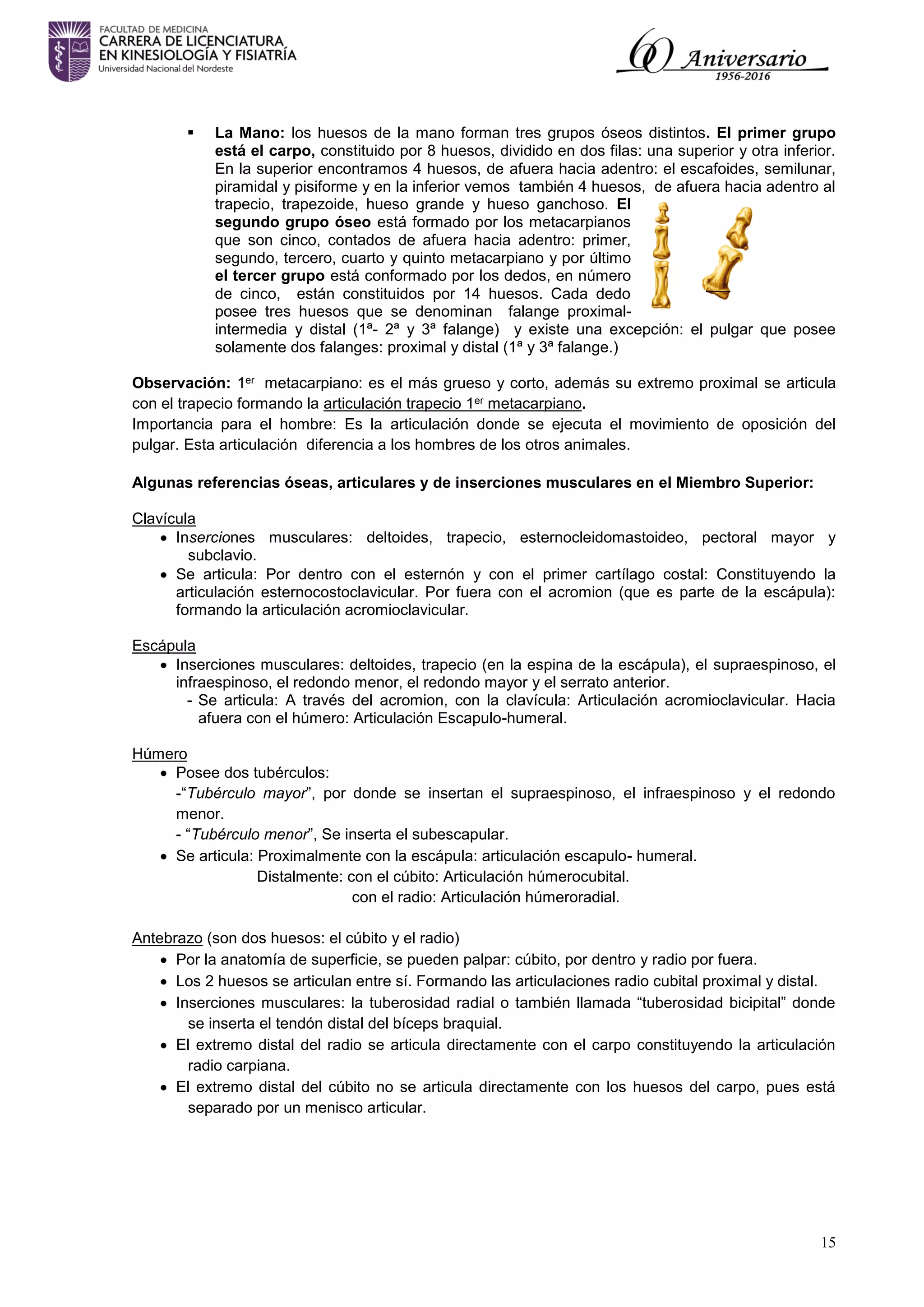 anatomia - introduccion.pdf
