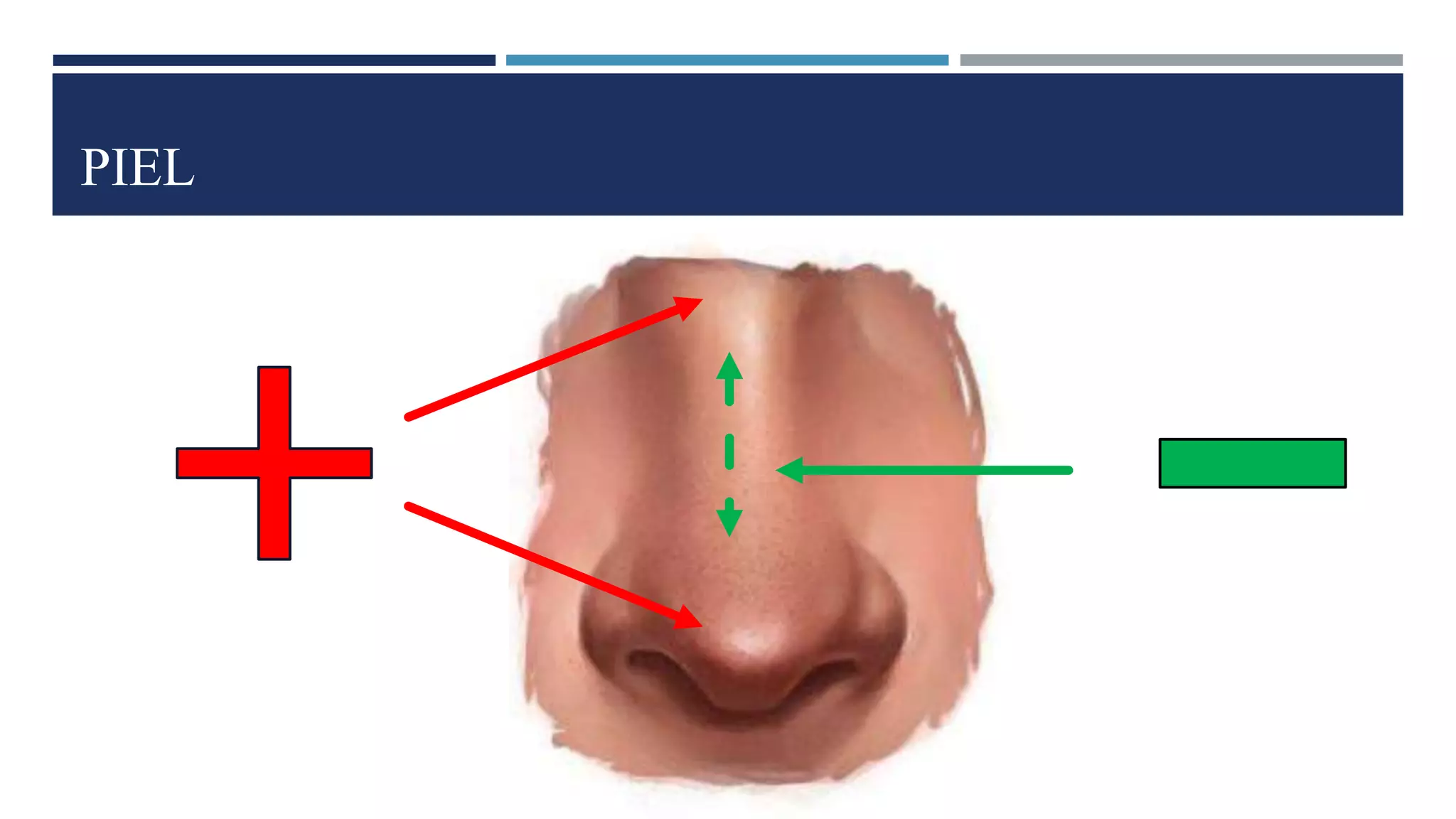 ANATOMIA-NASAL.pptx