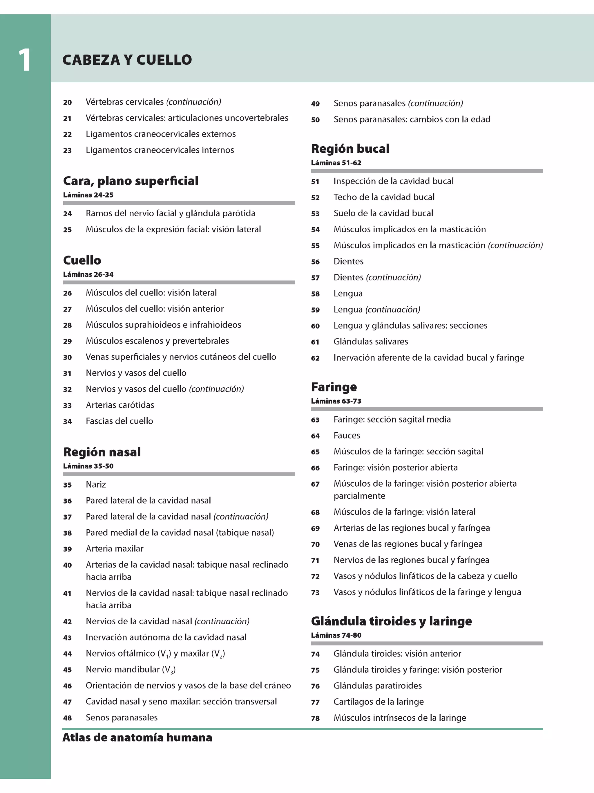 Anatomia - Netter.pdf