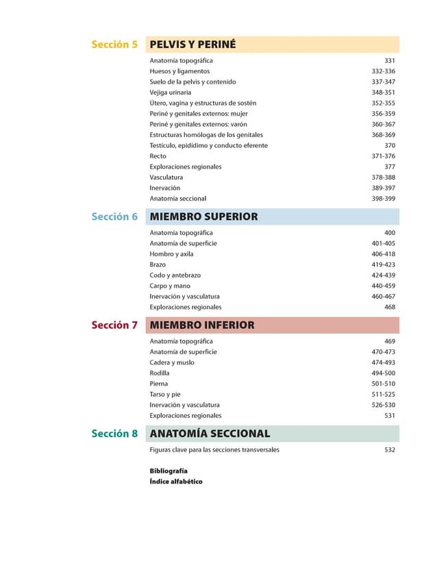 Anatomia - Netter.pdf