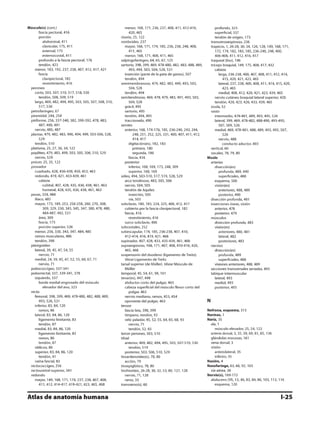 Anatomia - Netter.pdf