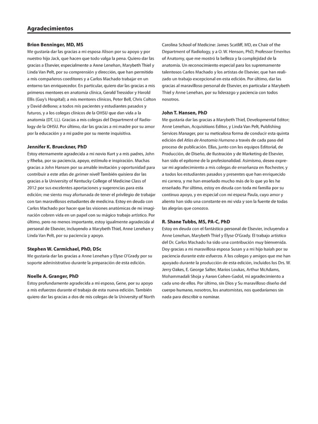 Anatomia - Netter.pdf