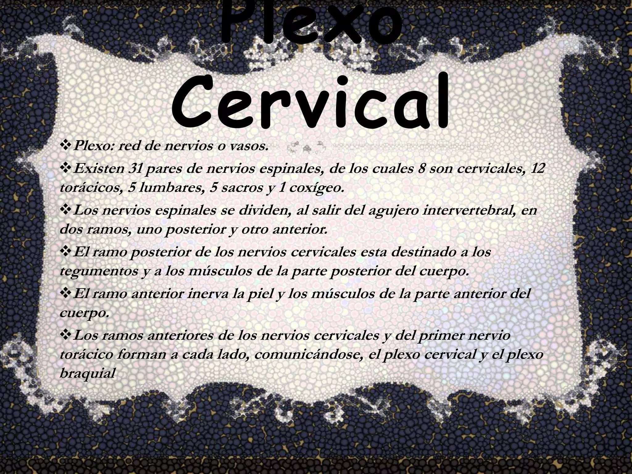 Plexo Cervical- Anatomía Fisiológica. | PPT