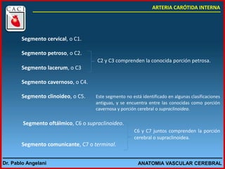 Anatomia-radiologica-cerebral.Dr.P.Angelani.pdf