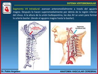 Anatomia-radiologica-cerebral.Dr.P.Angelani.pdf