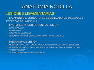 anatomia funcional y estructural de rodilla-.ppt
