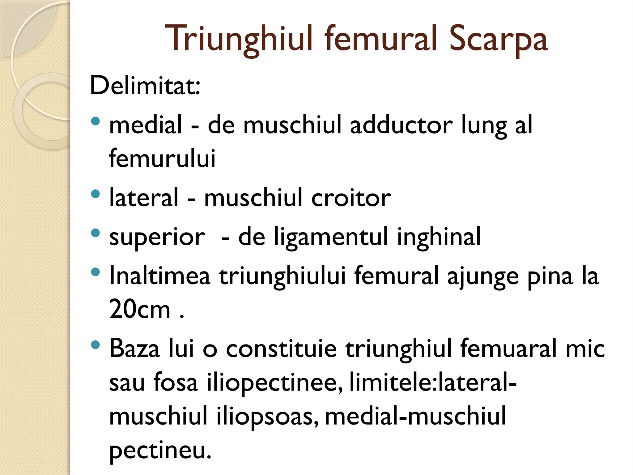 Anatomia-topografica-a-membrului-inferior.pptx