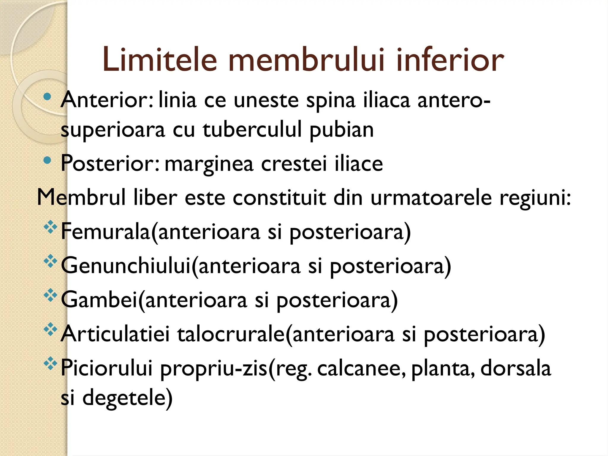 Anatomia-topografica-a-membrului-inferior.pptx