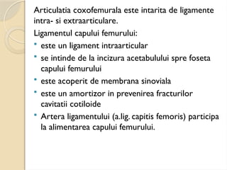 Anatomia-topografica-a-membrului-inferior.pptx