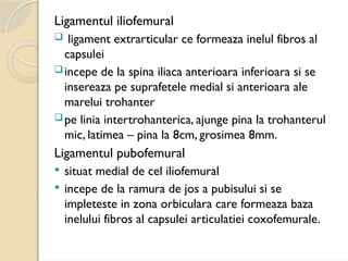 Anatomia-topografica-a-membrului-inferior.pptx
