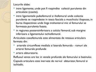 Anatomia-topografica-a-membrului-inferior.pptx