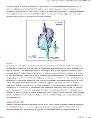Anatomia Y Fisiologia Del Sistema Linfatico | PDF