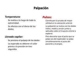 anatomia-y-semiologia-del-sistema-arterial_compress.pdf