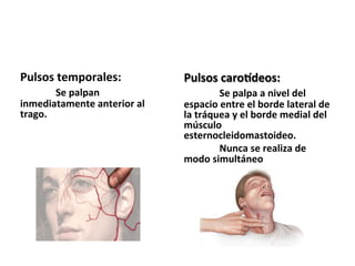 anatomia-y-semiologia-del-sistema-arterial_compress.pdf