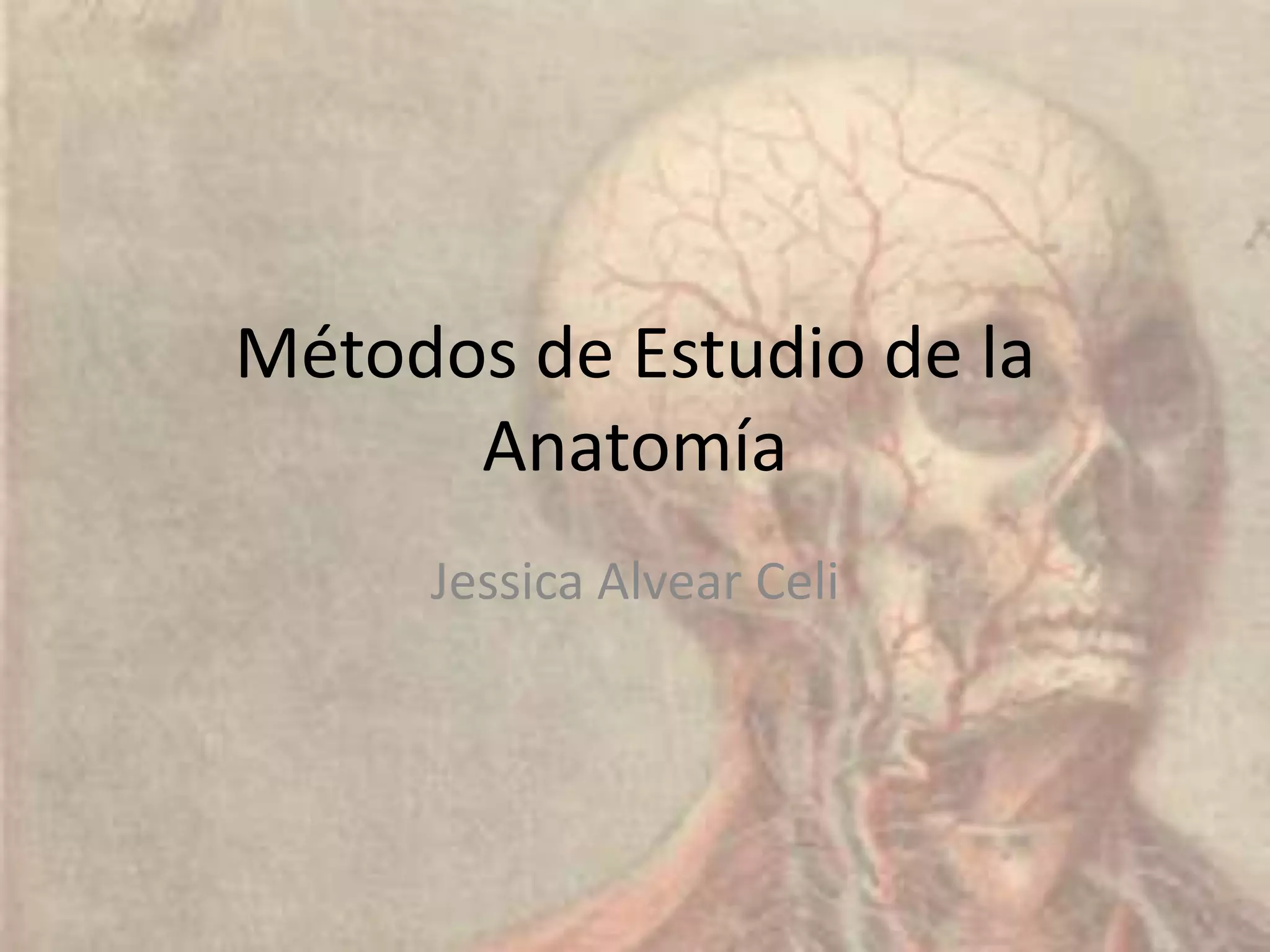 Metodos de Estudio de la Anatomía | PPTX