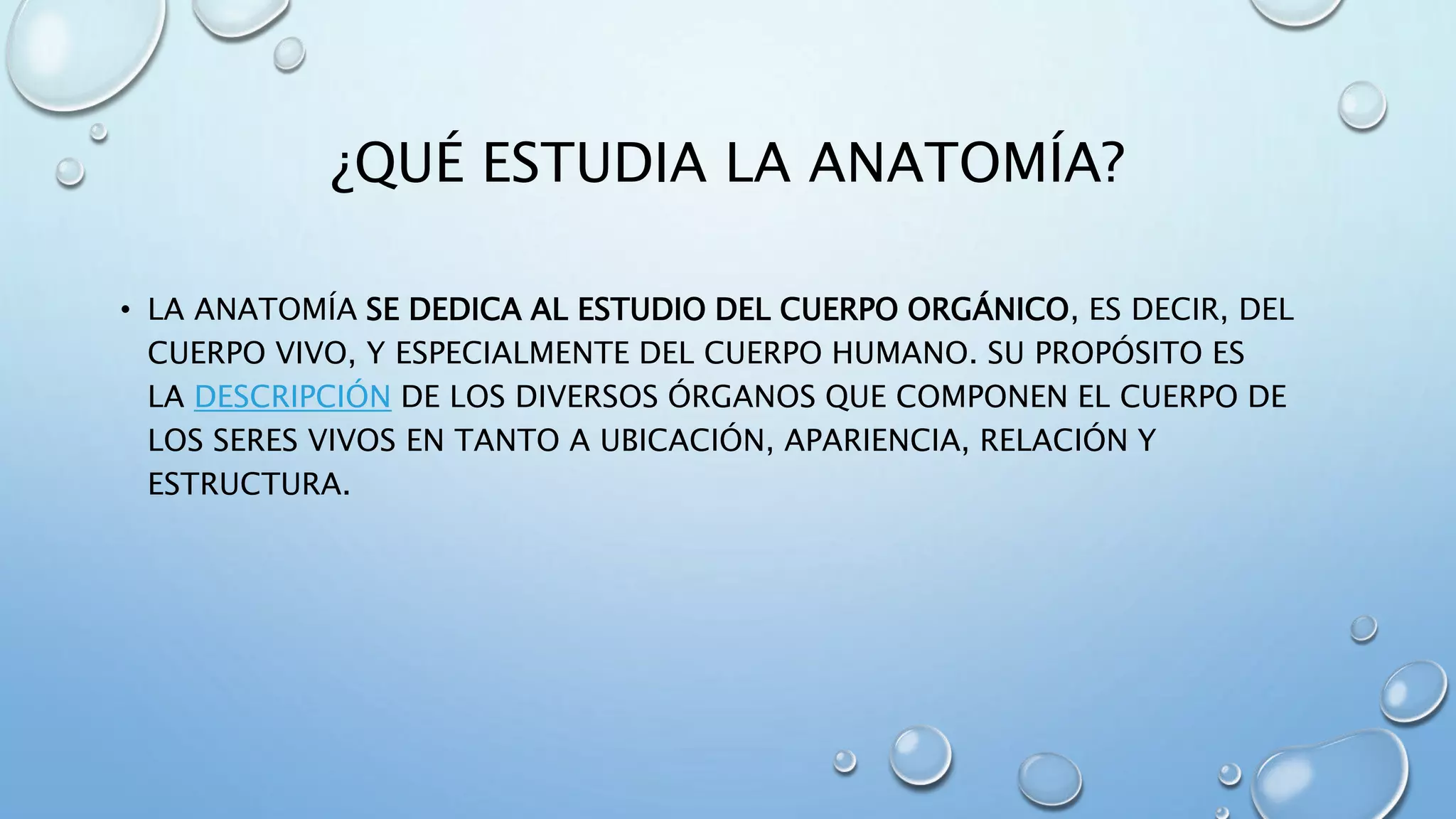 anatomia 1.pptx
