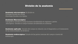 anatomia 1.2 divisiones y clasificacion de la anatomia.pptx