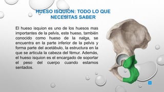 ANATOMIA 1.pptxeeeeeeeeeeeeeeeeeeeeeeeeeeeeeeeeee | PPTX | Death ...