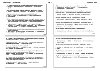 Anatomia 2 locomotor inferior - usa 2019 alu | PDF