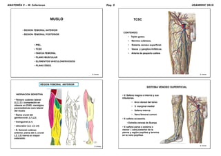 Anatomia 2 Locomotor Inferior Usa 2019 Alu Pdf