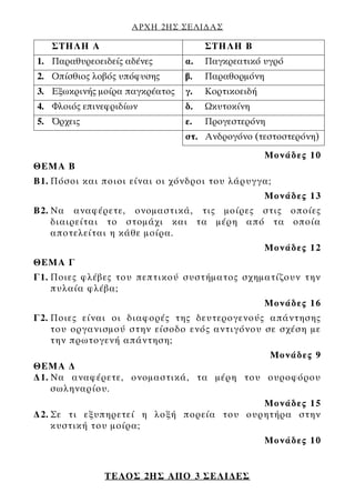 Anatomia2 2011 | PDF