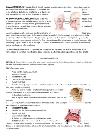 Anatomía 2 Fase II.pdf