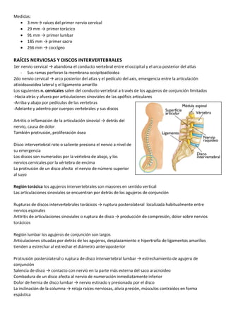 Anatomía 2 Fase II.pdf