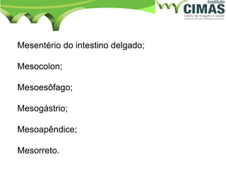 aula completa sobre Anatomia do abdomem.pdf