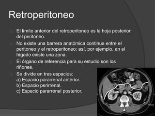 Anatomía abdomen en TAC y RM | PPTX