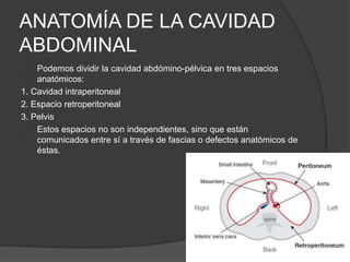 Anatomía adomino pelviana TAC y RM | PPTX